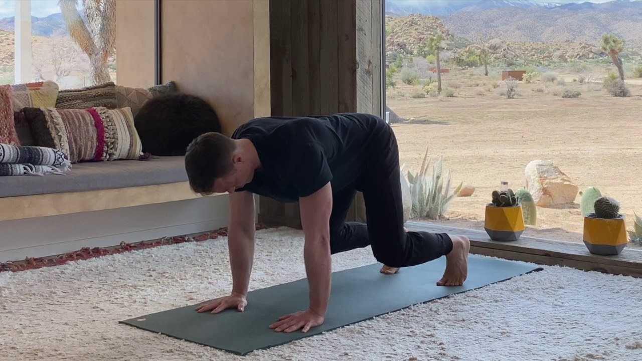 Bear Squat - YouTube