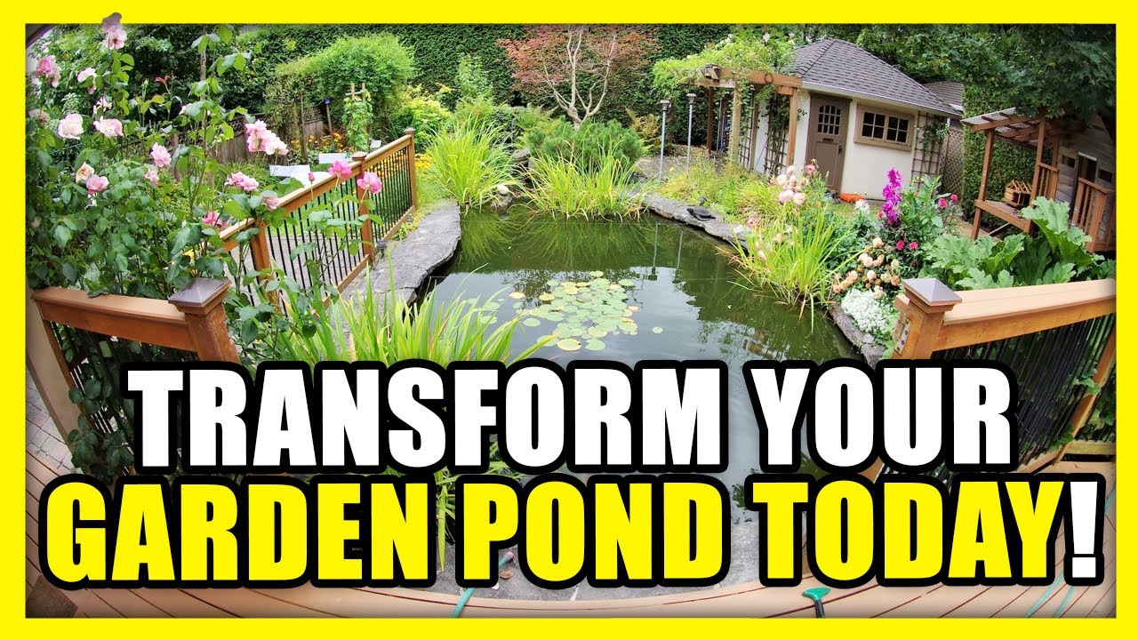 How to Install a Fence Around a Garden Pond: Safety & Style in 120 ...