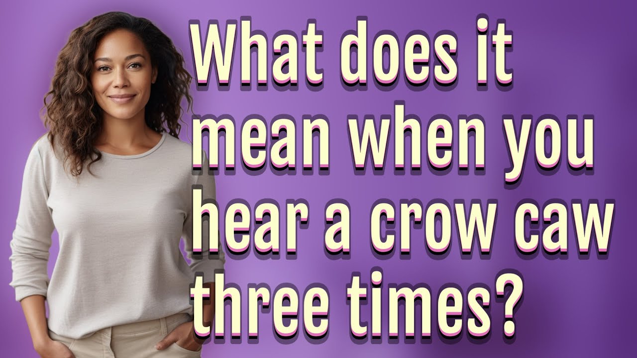 What does it mean when you hear a crow caw three times? - YouTube