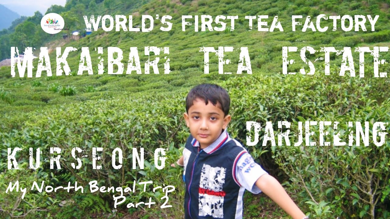 makaibari tea estate | kurseong | world's first tea factory |darjeeling ...