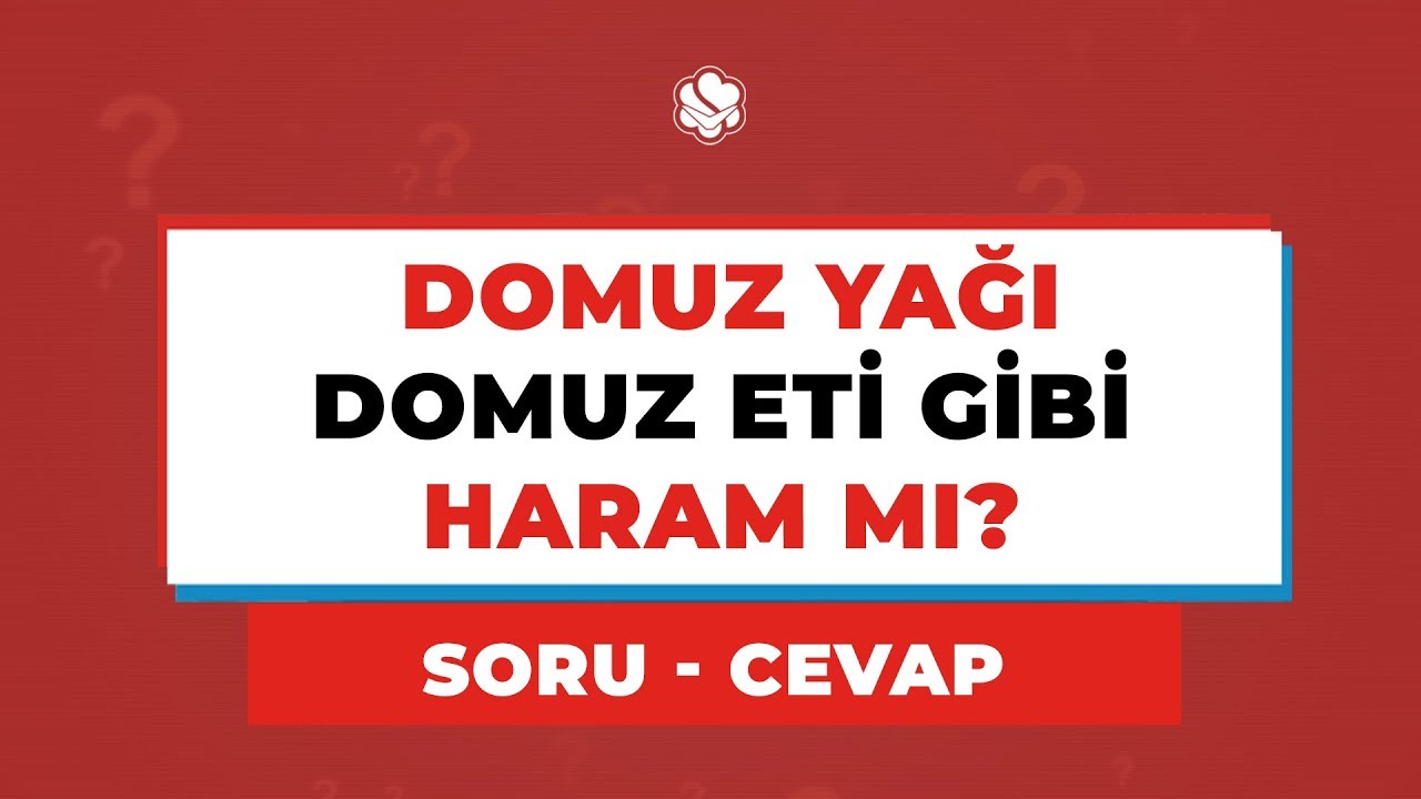 DOMUZ YAĞI DOMUZ ETİ GİBİ HARAM MI? | Abdulaziz BAYINDIR - YouTube