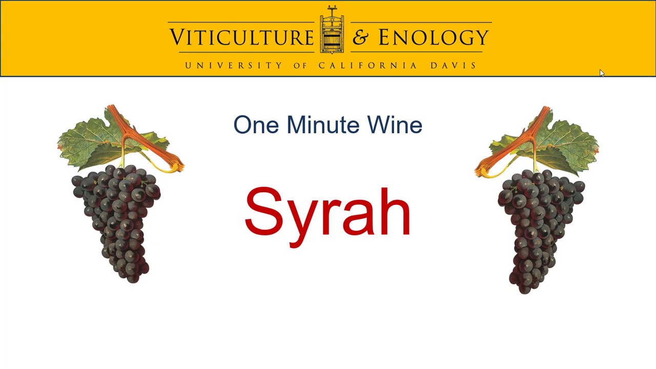 One Minute Wine - Syrah - YouTube
