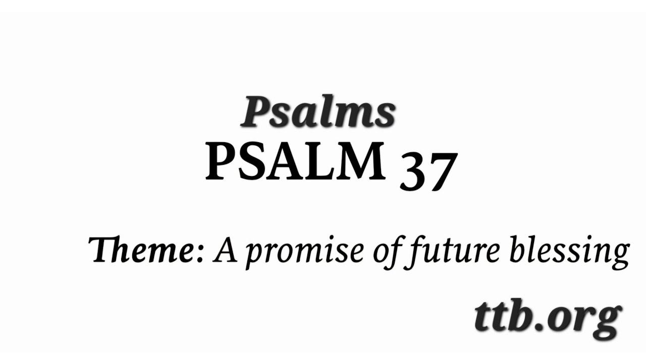 Psalm Chapter 37 (Bible Study) - YouTube