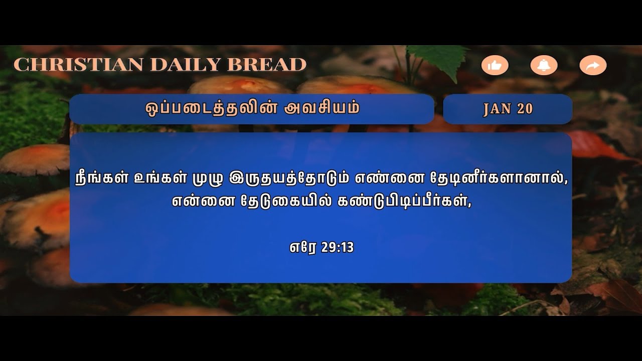 ஒப்படைத்தலின் அவசியம் - surrendering to the Lord - Christian daily ...
