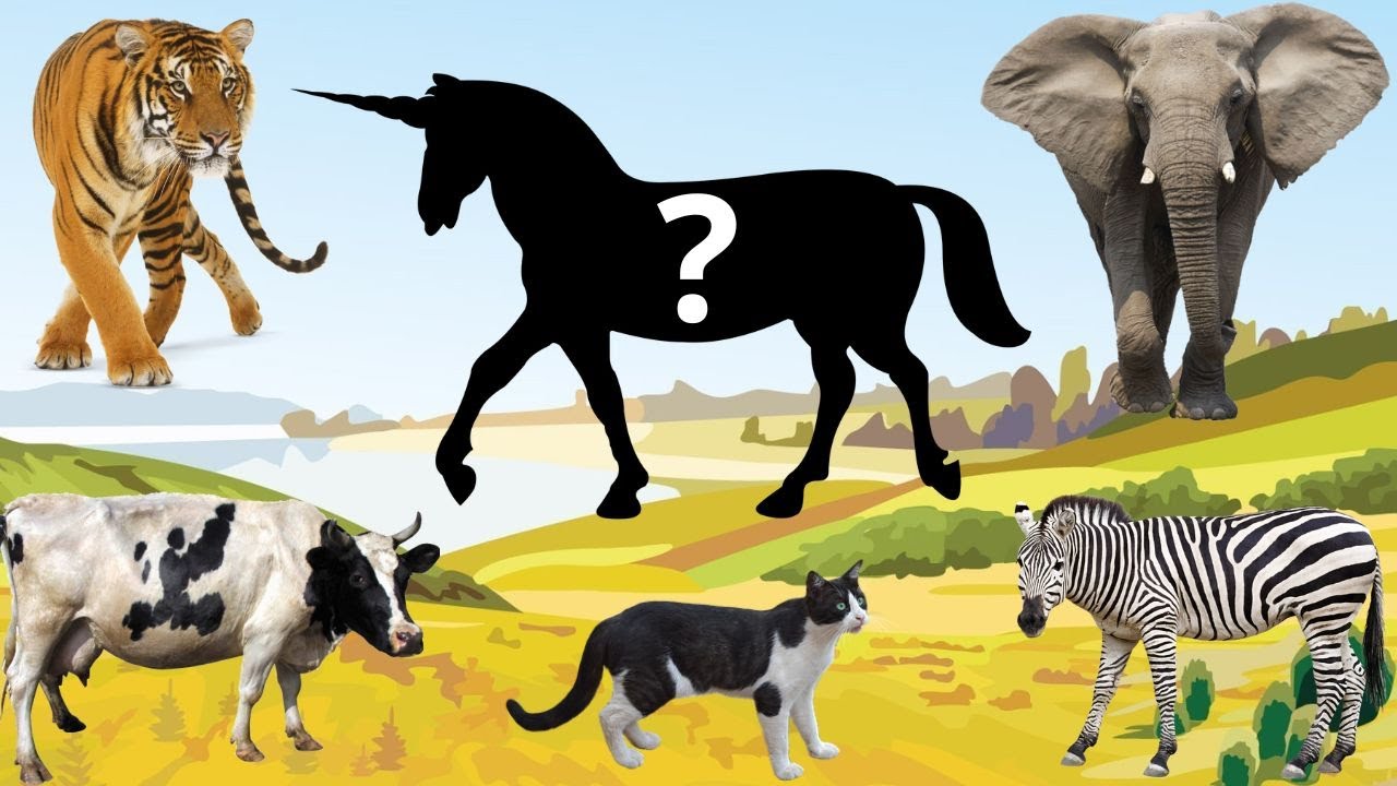 Sounds of different animals! Cat! Dog! Cow! Horse! Pig! Lion! Rhino ...