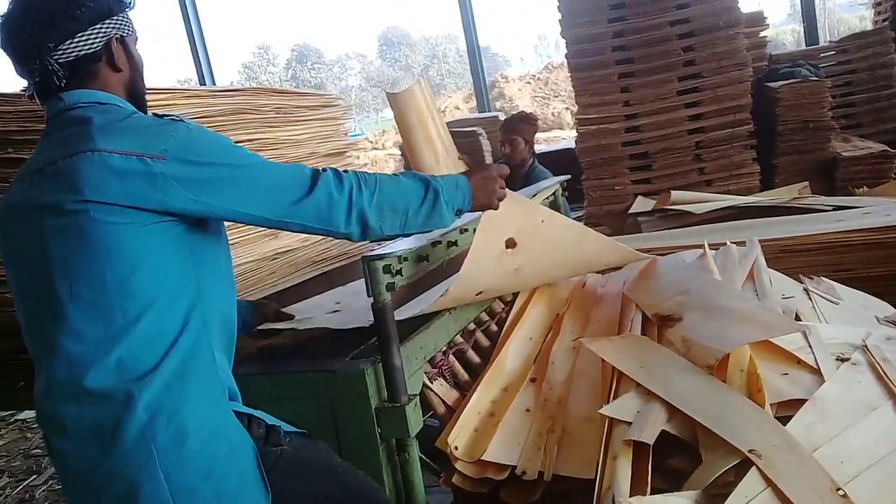 How are ply formed see come ply fectory top business plywoods - YouTube