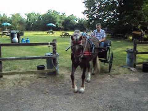 Dusty and Ray Smith leaving the Worlingworth Swan with their beautiful ...