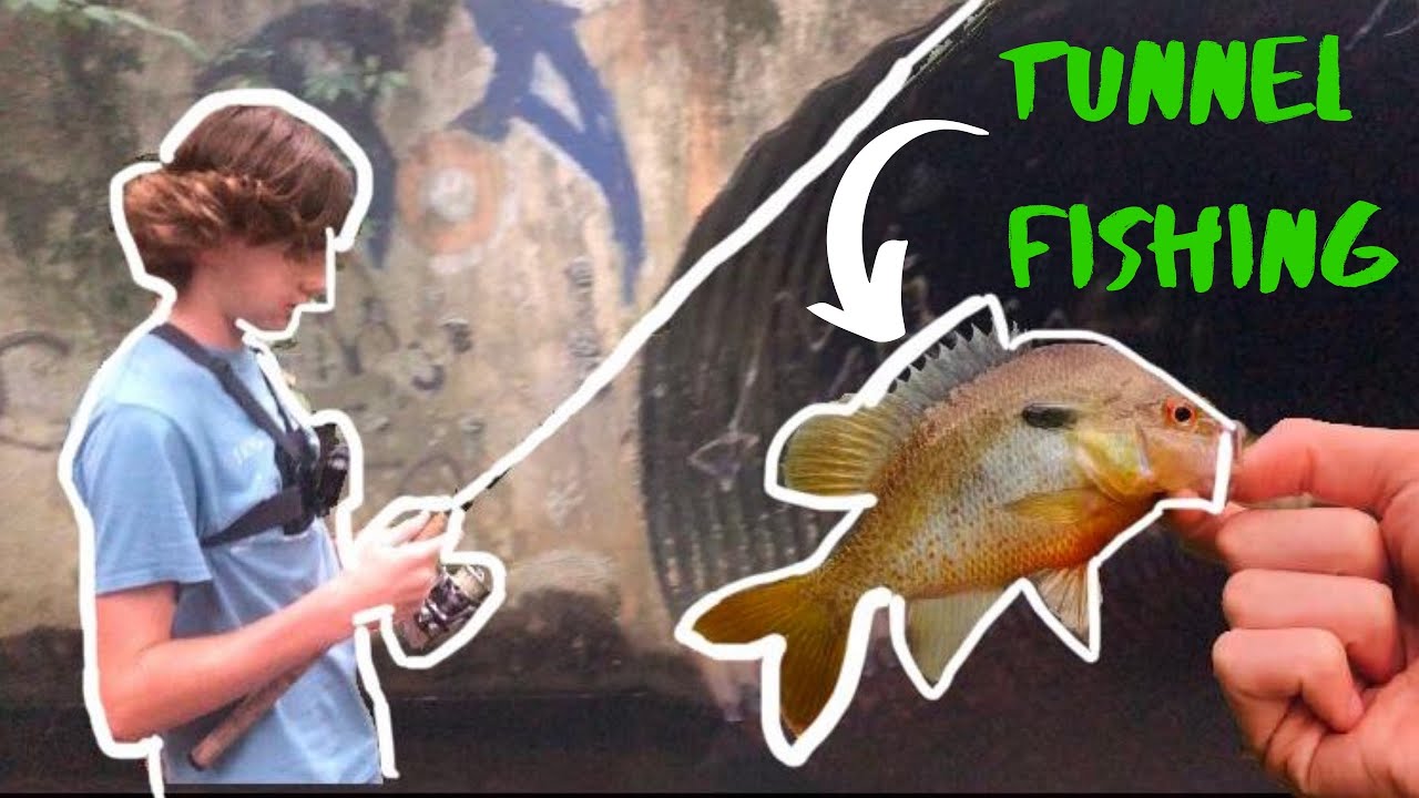 RARE FISH caught in SEWER TUNNEL - TOPWATER CREEK FISHING in CROFTON ...