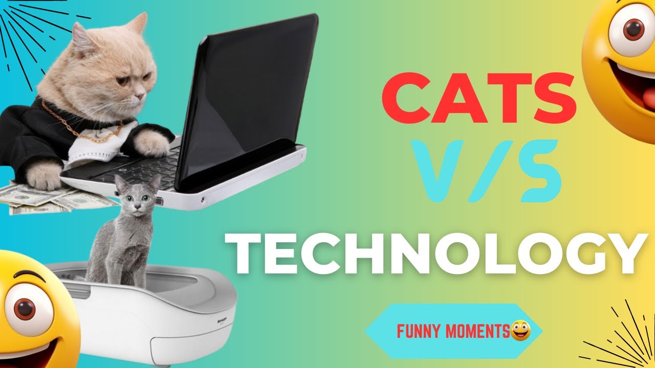 FUNNY CATS COMPILATION- CATS VS TECHNOLOGY - YouTube