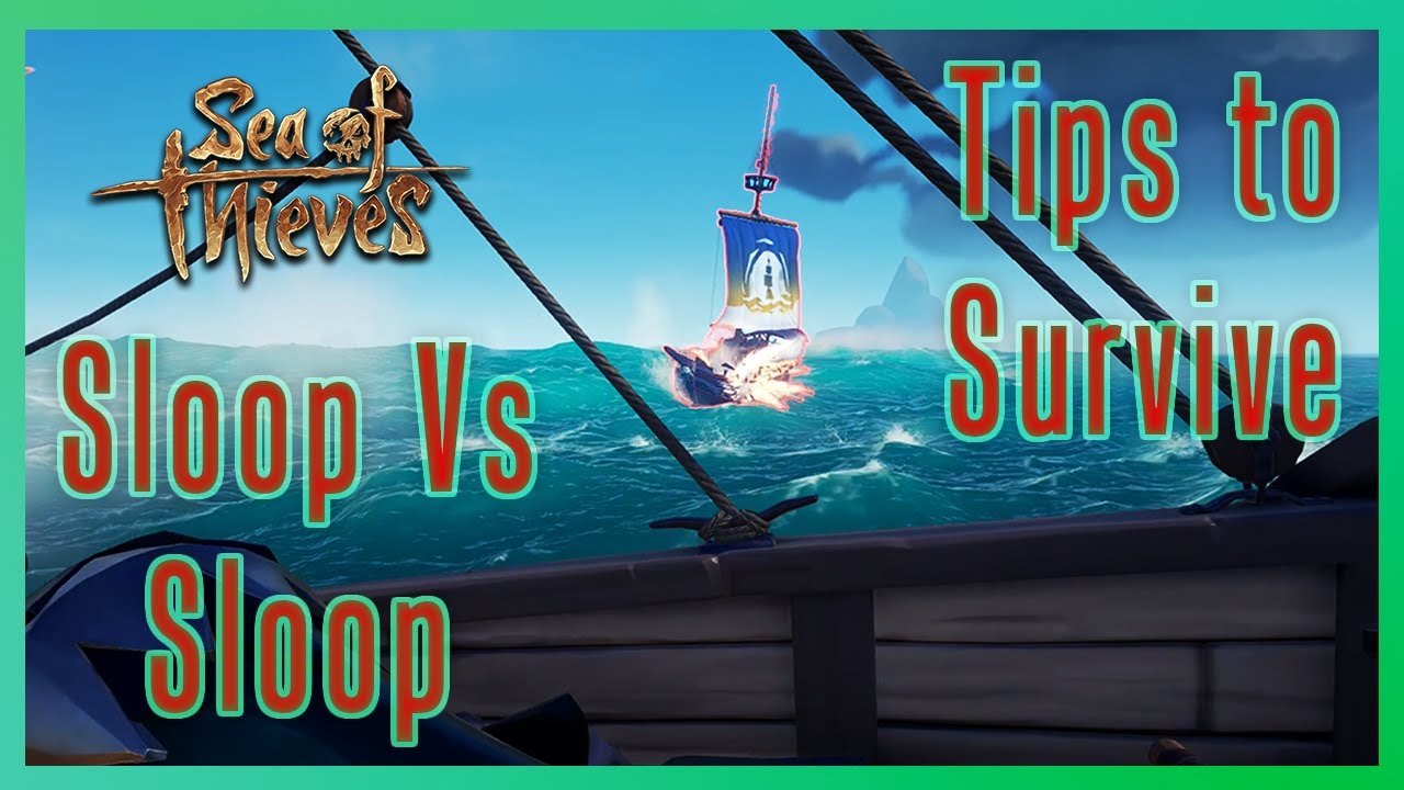 Sloop Vs Sloop Survival Tips | Sea of Thieves - YouTube
