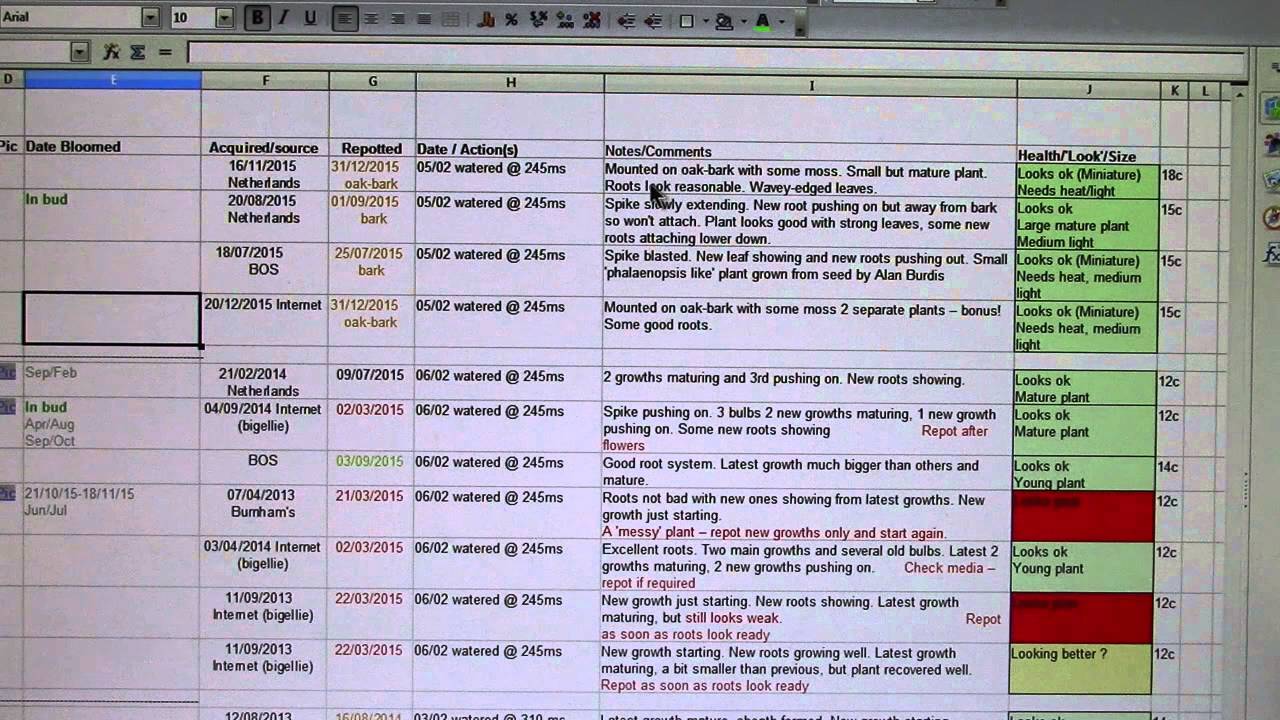 Orchid Notes - YouTube