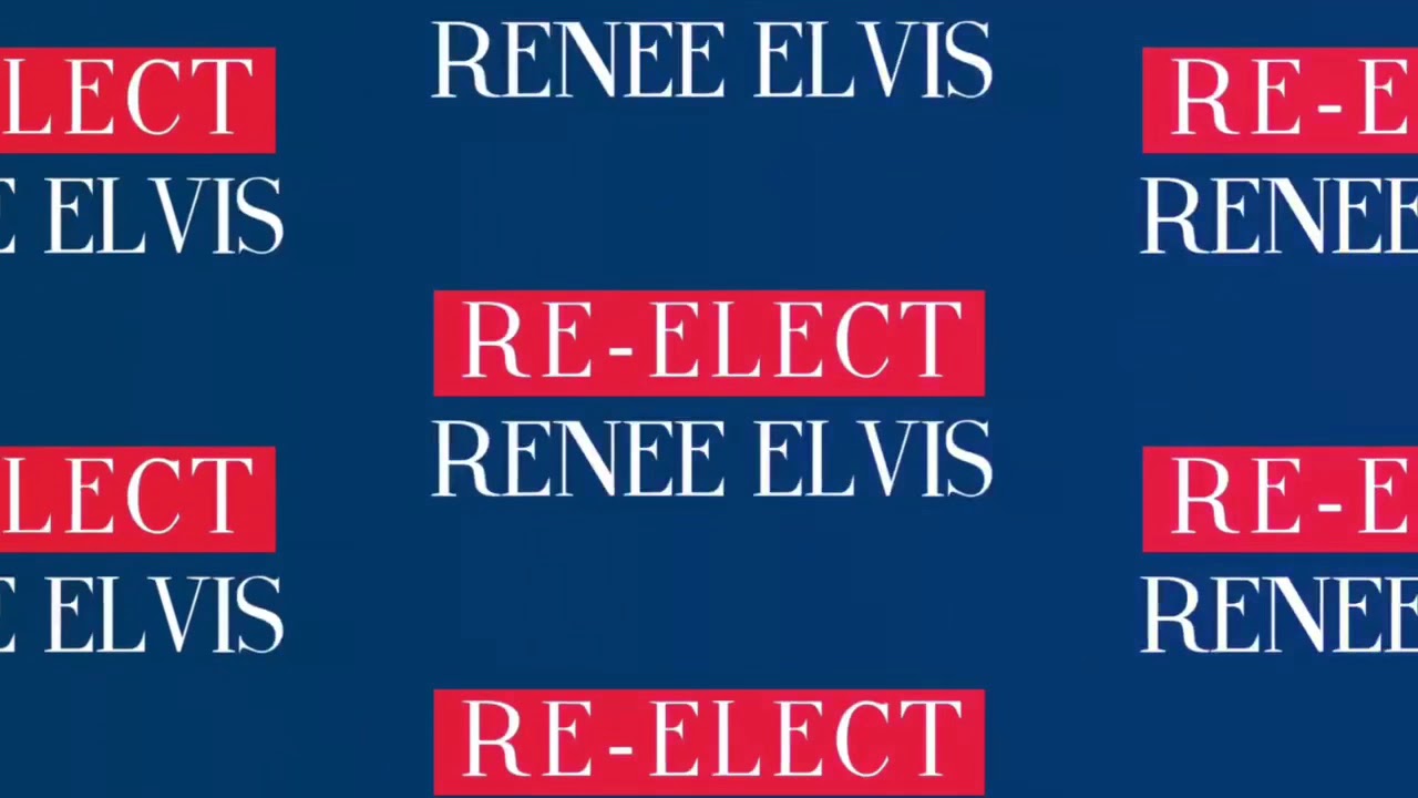 Renee Elvis Horry County Clerk of Court 2020 - YouTube