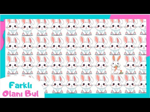 4-6 YAŞ DİKKAT ETKİNLİĞİ || HAYVANLARI TANIYALIM || DİKKAT VE ALGI ETKİNLİĞİ || 4-6 YAŞ