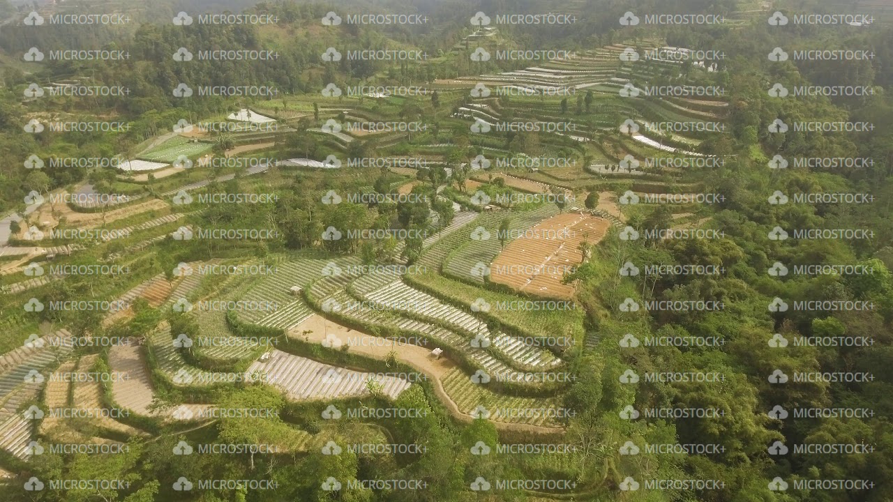 tropical landscape with farmlands in mountains - YouTube