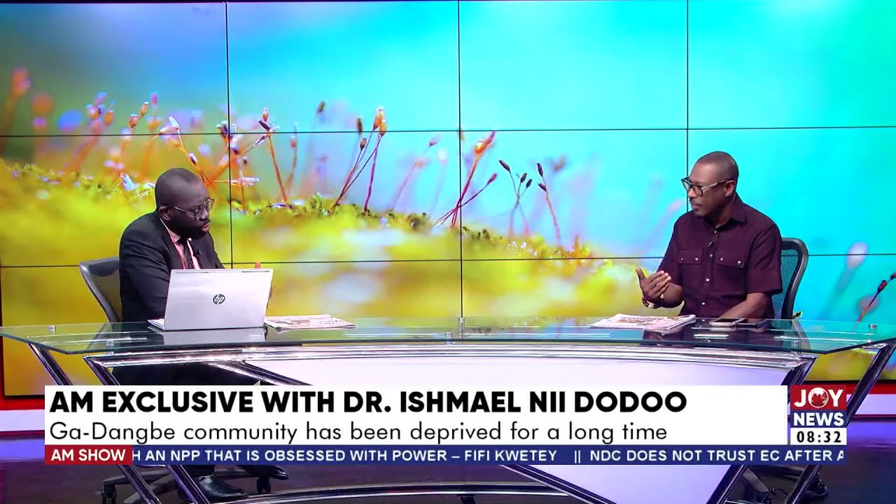 The number of Ghanaians in the UN system continues to decline - Dr Ishmael Nii Dodoo claims| AM ...