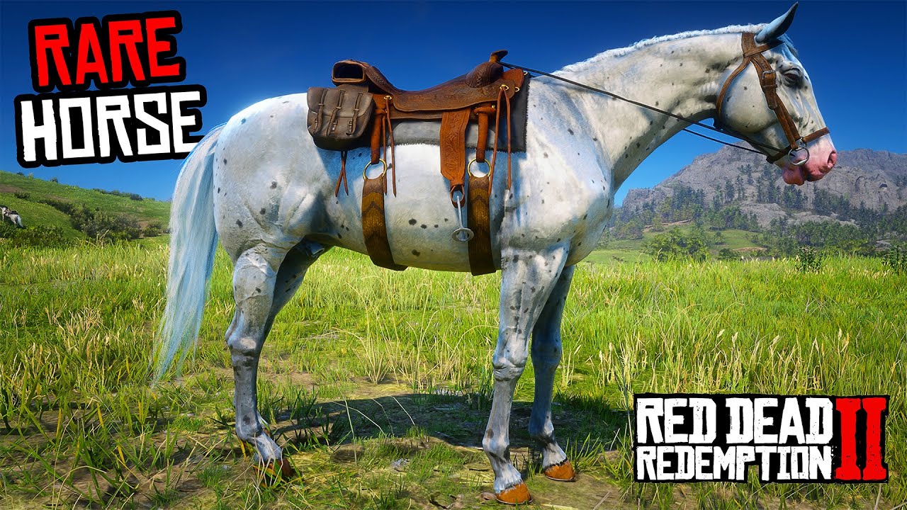 5 Rare Appaloosa Horses (Location & Rankings) - RDR 2 - YouTube