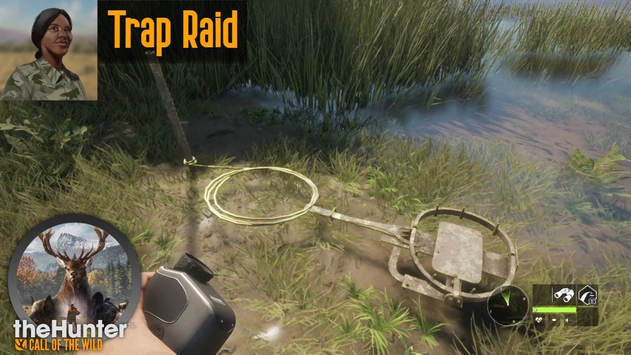 Trap Raid theHunter Call of the Wild - YouTube