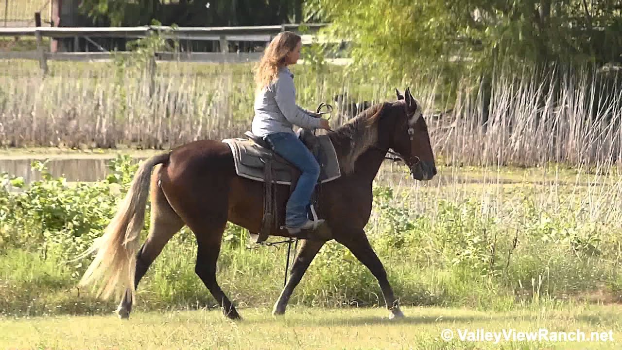 Libby - riding on the flat - Valley View Ranch - YouTube