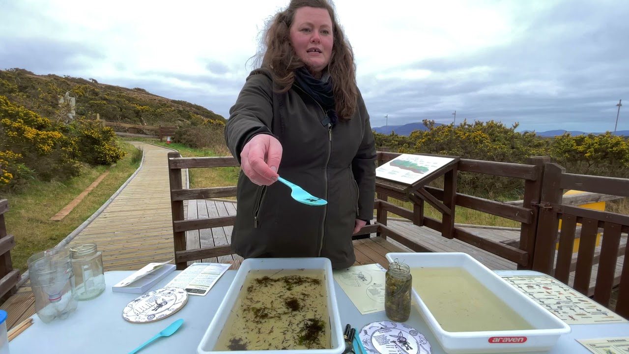 Workshop 2 Pond Dipping with Margaret Flaherty - YouTube