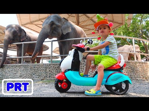 Little Nikita brincar no zoológico