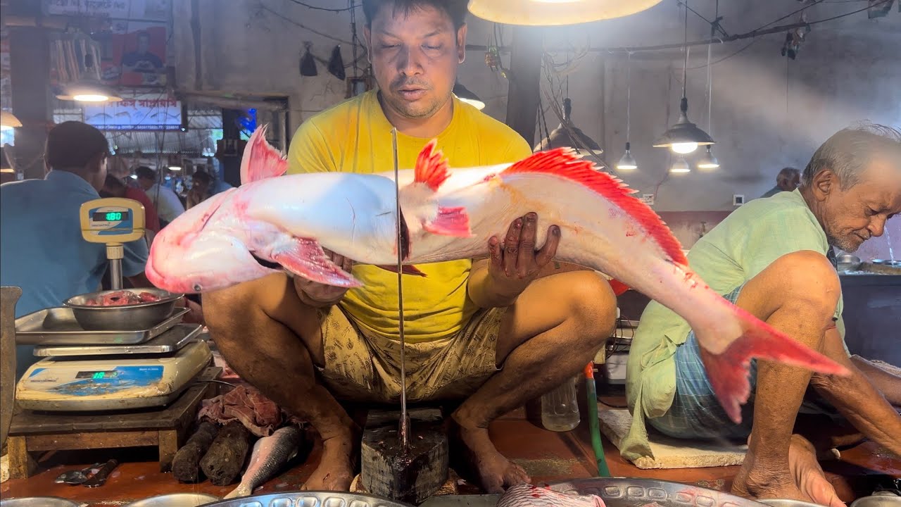 Chakdaha fish market big Shillong fish 14kg fish cutting skills by ...