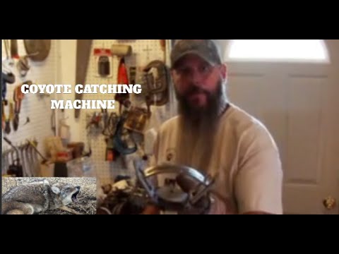 HOW TO BUILD A COYOTE CATCHING MACHINE!! #trapping #coyote # ...