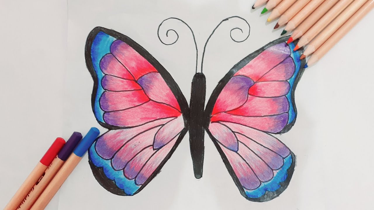 How to make Butteryfly Drawing by Gifted Hands - YouTube