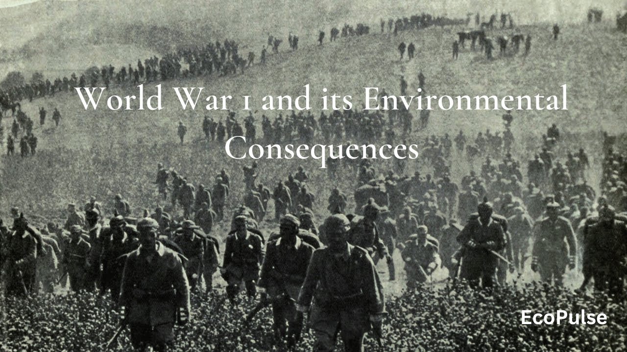 World War 1 and its Environmental Consequences - YouTube