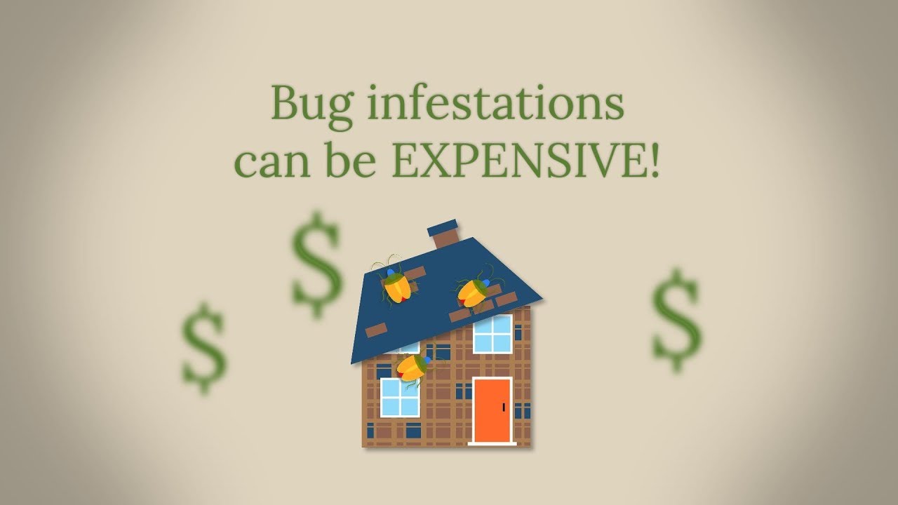 Can I get Insurance for Bed Bugs? - YouTube