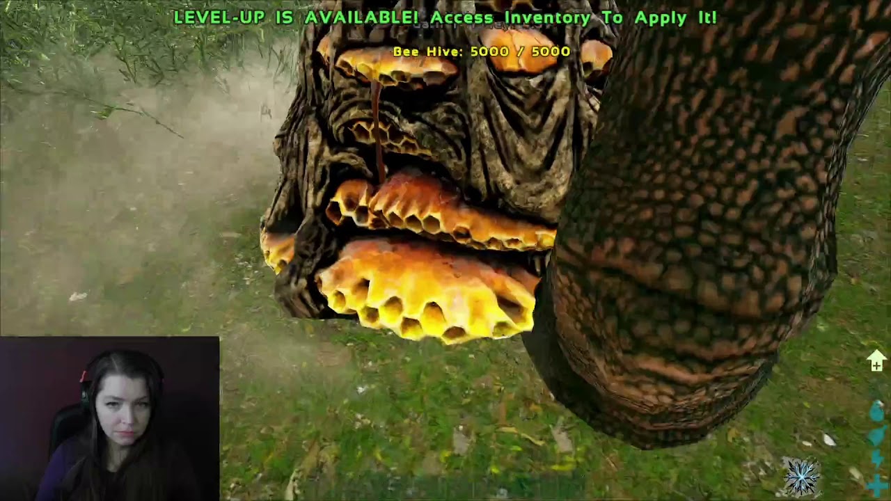 Ark : Valguero Map spawn zones! - YouTube