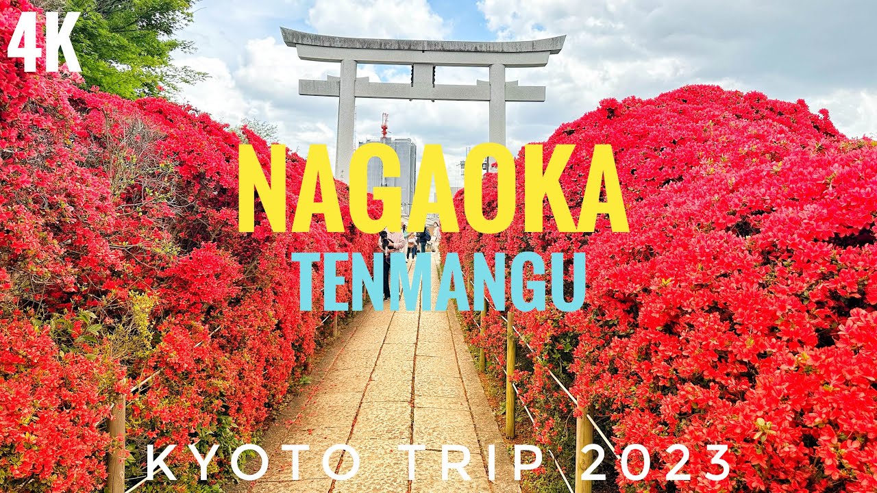 #104 Family Travel in Japan | Nagaoka Tenmangu at Azalea Blossom Season ...