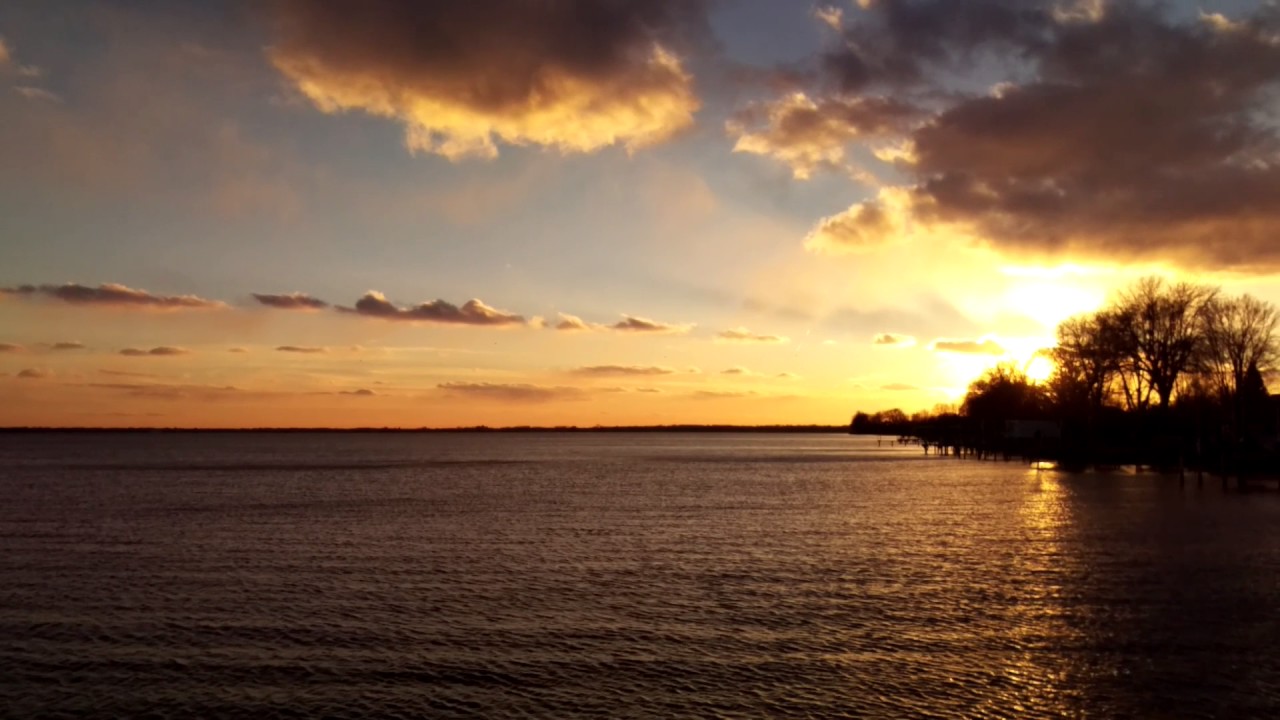 Fly pelican Fly - YouTube