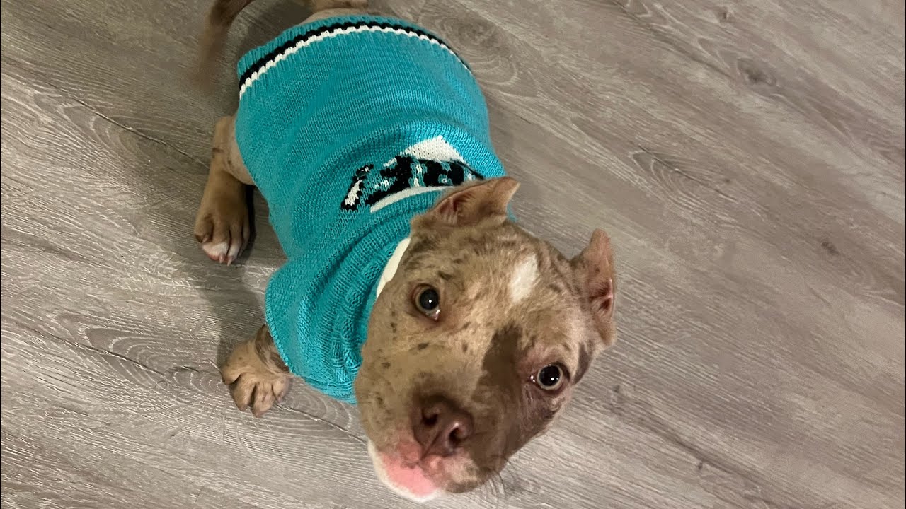 Update video on Bullieve granddaughter Incredible daughter Asa ...