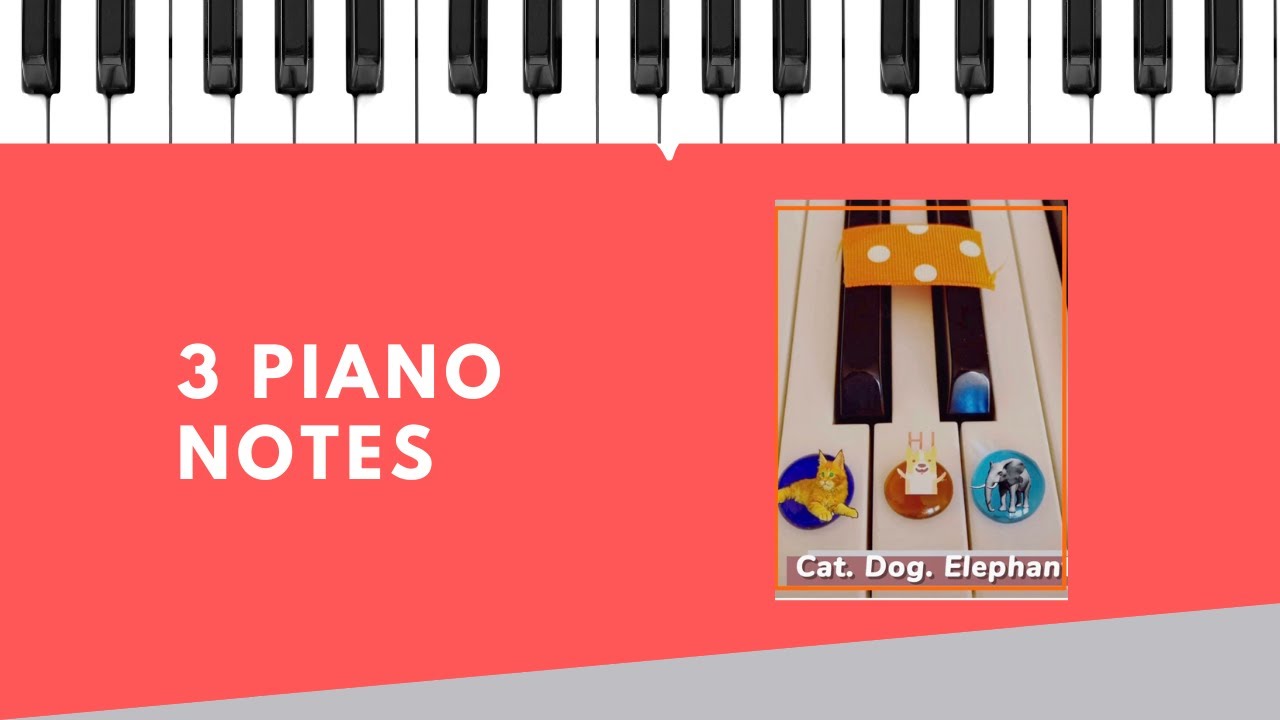 3 Piano notes - 1st Piano Lesson, #pianoanimals - YouTube