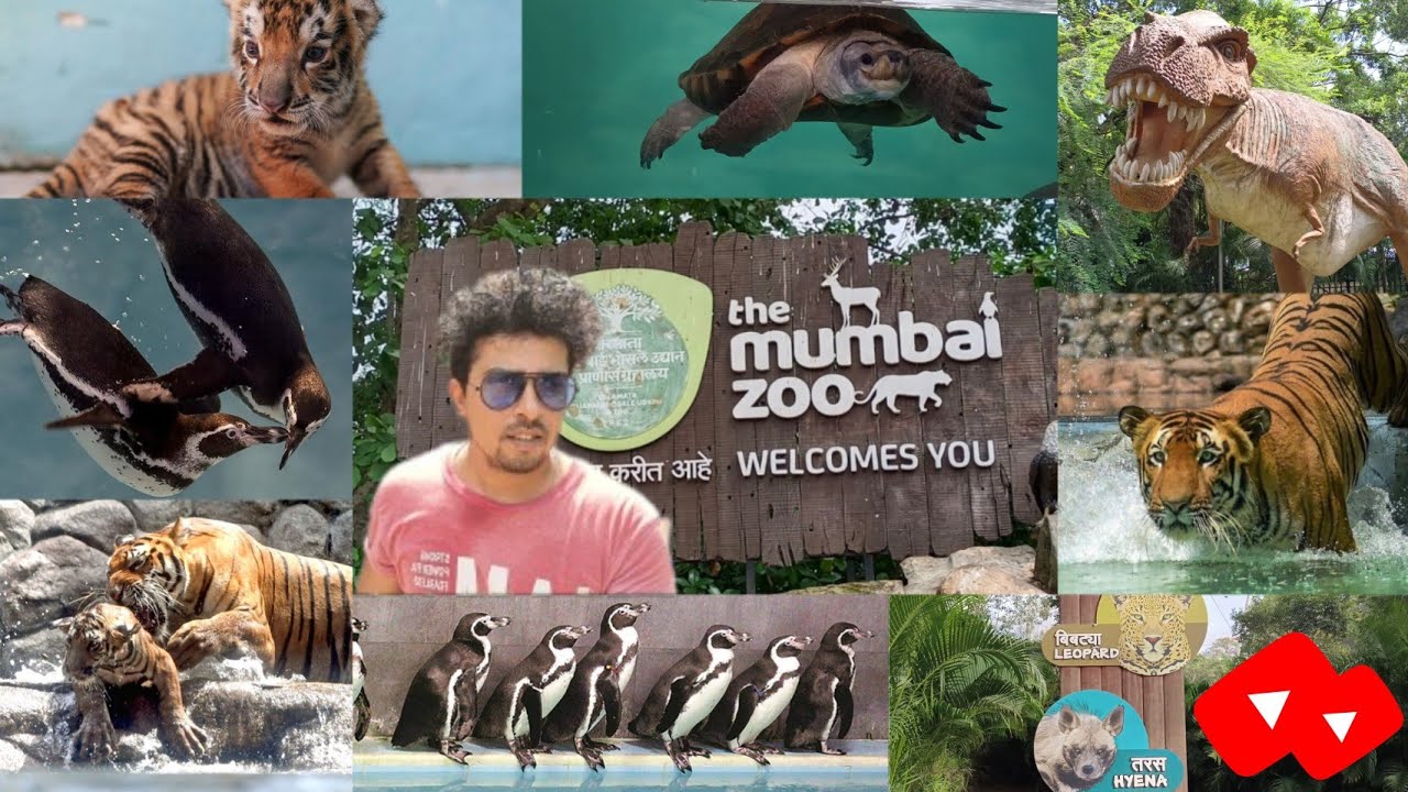 Mumbai Zoo - Rani Bagh Full tour in Details - YouTube
