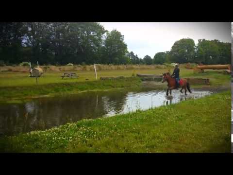 Träning för Ted Velander - YouTube