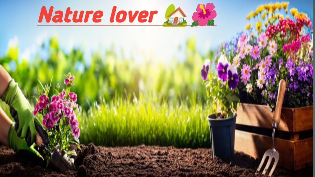 Nature lover 🪴Garden seen 🥀🏡 nature lover #nature #naturelovers # ...