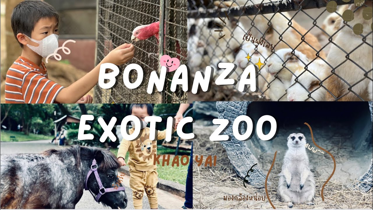 แวะมาให้อาหารสัตว์ที่เขาใหญ่ Bonanza Exotic Zoo Khao Yai - YouTube