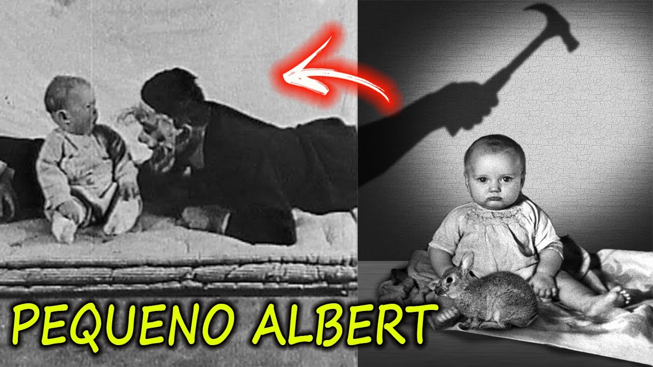 O PEQUENO ALBERT MORREU? I Pesquisadores Revelaram - YouTube
