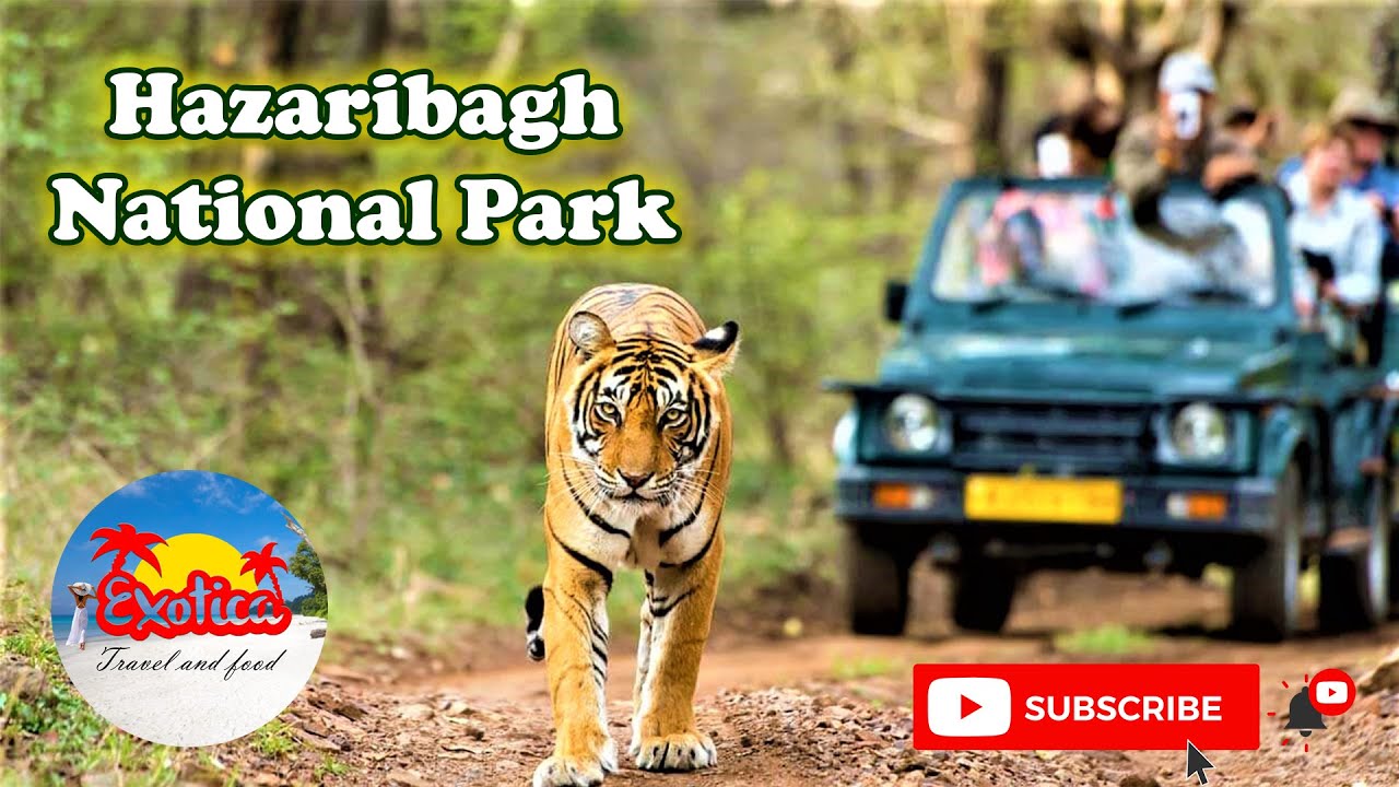 || हजारीबाग | Hazaribagh Wildlife Sanctuary | Hazaribagh National Park ...