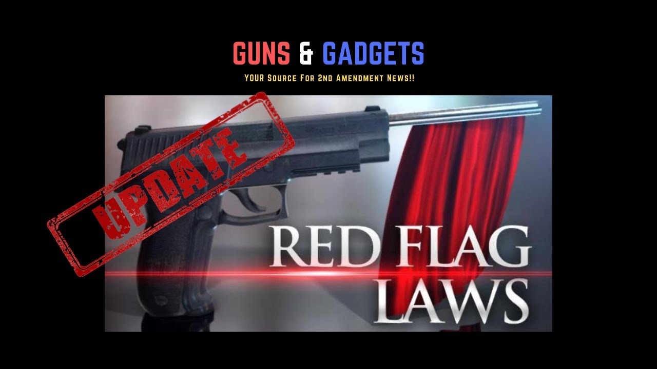 UPDATE on Federal Red Flag and Magazine Ban Bills - YouTube