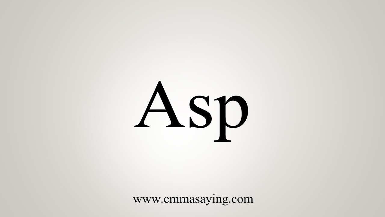 How To Say Asp - YouTube