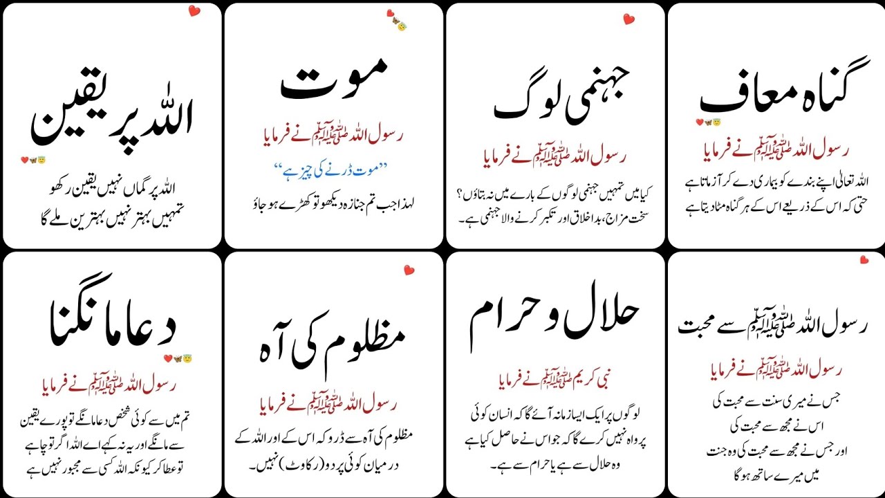 Best Islamic quotes for WhatsApp status | Islamic dp | golden words ...