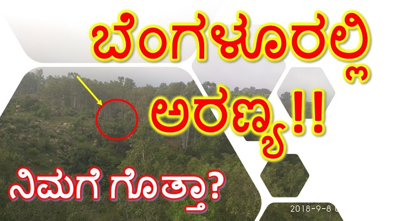 Turahalli Forest Bengaluru | Best place to visit - YouTube