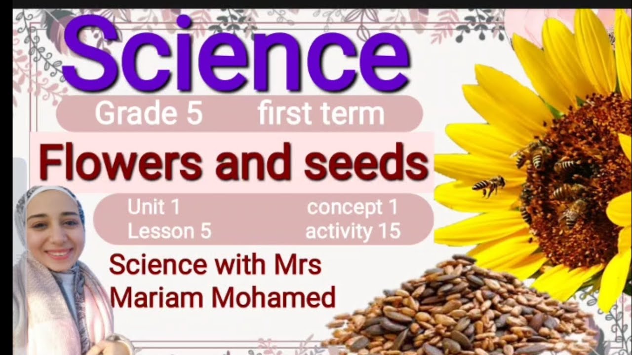 Grade 5 | Science| unit 1 concept 1 lesson 5 Flowers and seeds 🌻🌰 - YouTube