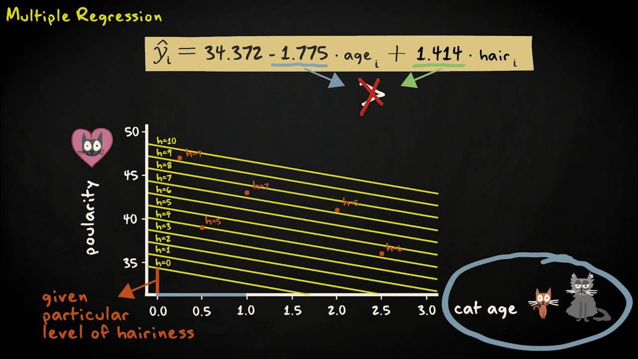 4.1 Regression model | Inferential Statistics | Multiple regression | UvA - YouTube