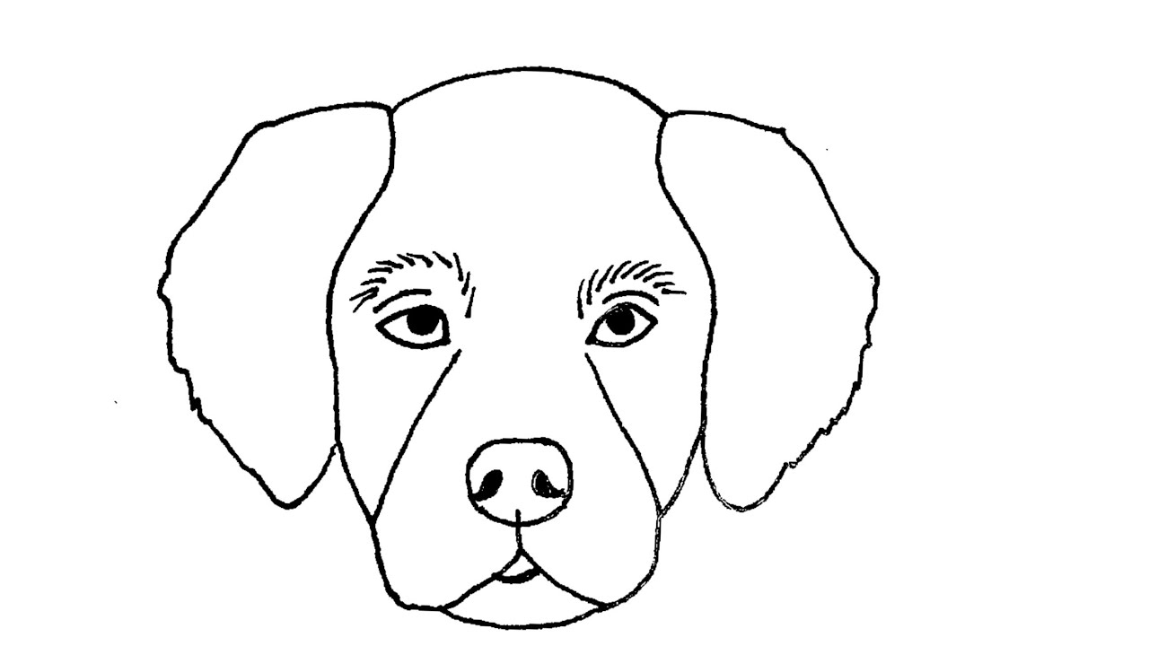 How to draw a dog head || draw dog head easy - YouTube