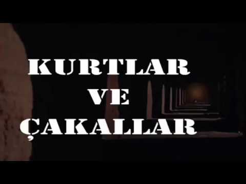 KURTLAR VE ÇAKALLAR