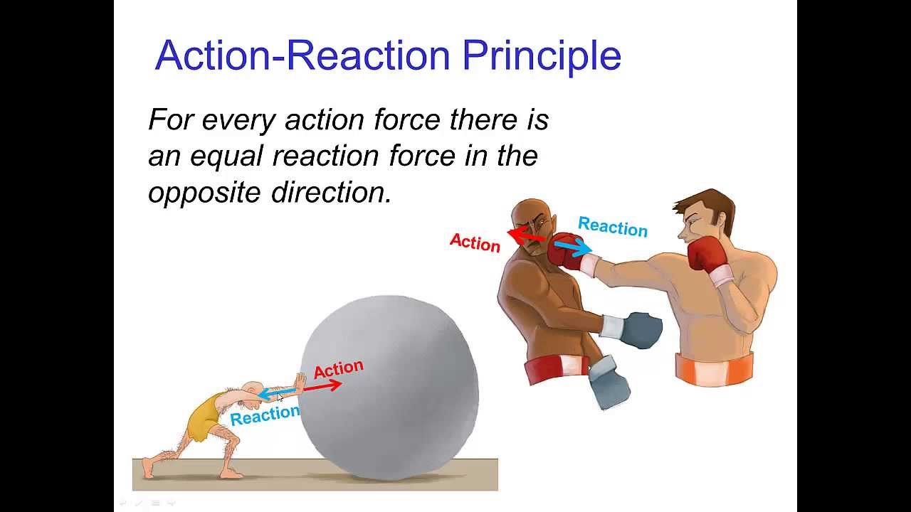Example Of Action And Reaction