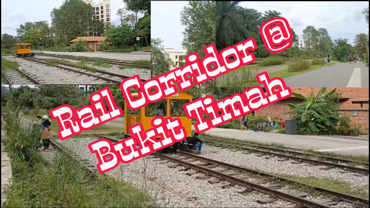 Explore at Bukit Timah Rail Corridor - YouTube